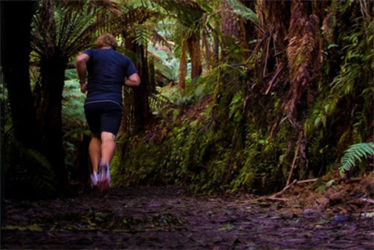 Forrest Half Marathon Trail Run