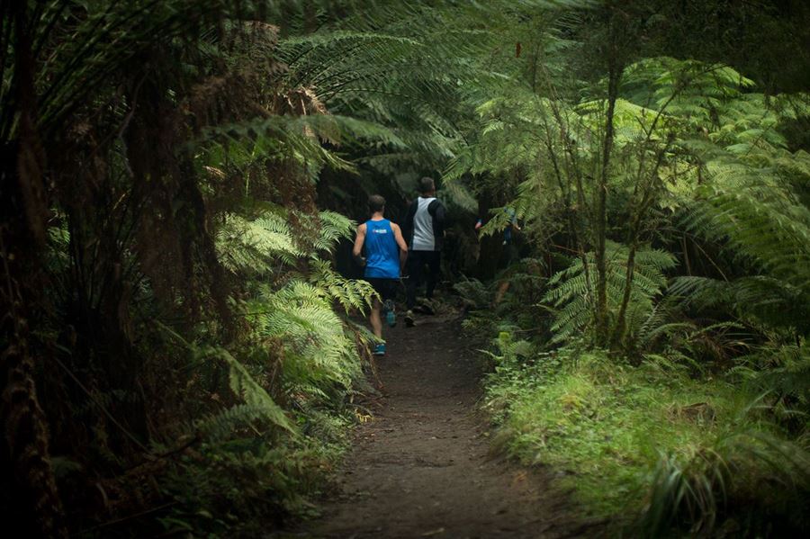 Run Forrest Trail Run